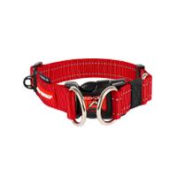 Dog Collars NZ | Durable, Adjustable & Comfortable